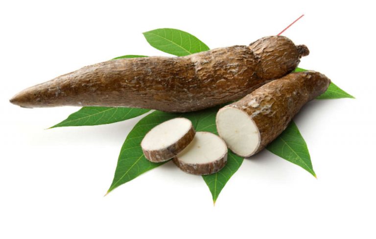 Todo lo que tienes que saber sobre la Tapioca | Blog de Annu Berek García